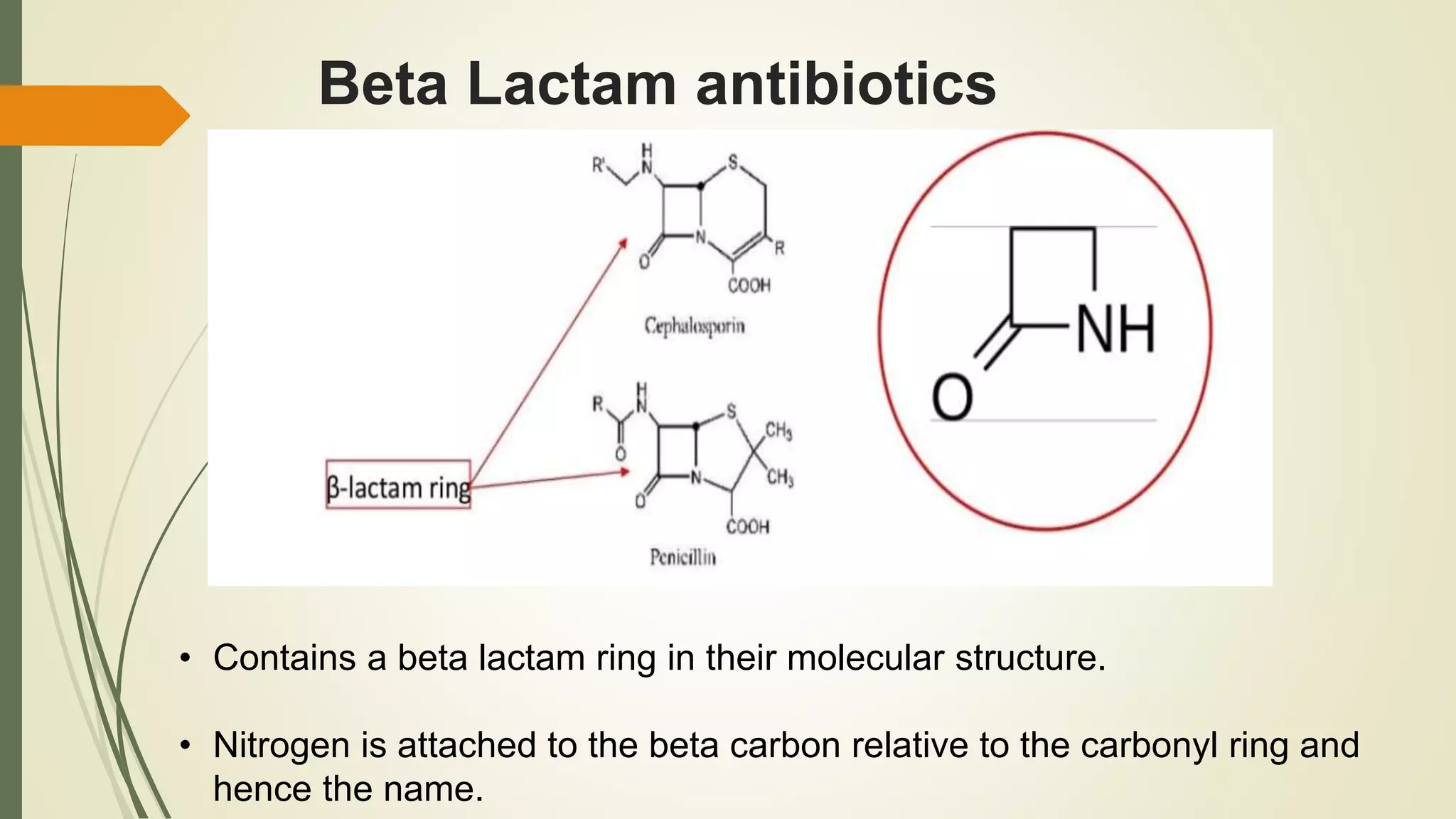 Beta lactam nursing AHS.pptx