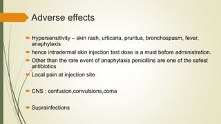 Beta lactam nursing AHS.pptx