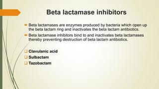Beta lactam nursing AHS.pptx