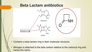 Beta lactam nursing AHS.pptx