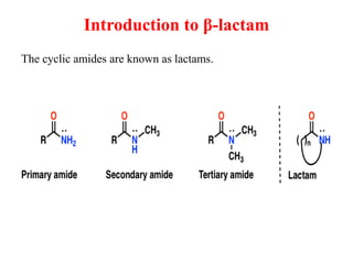 Beta Lactams.pptx