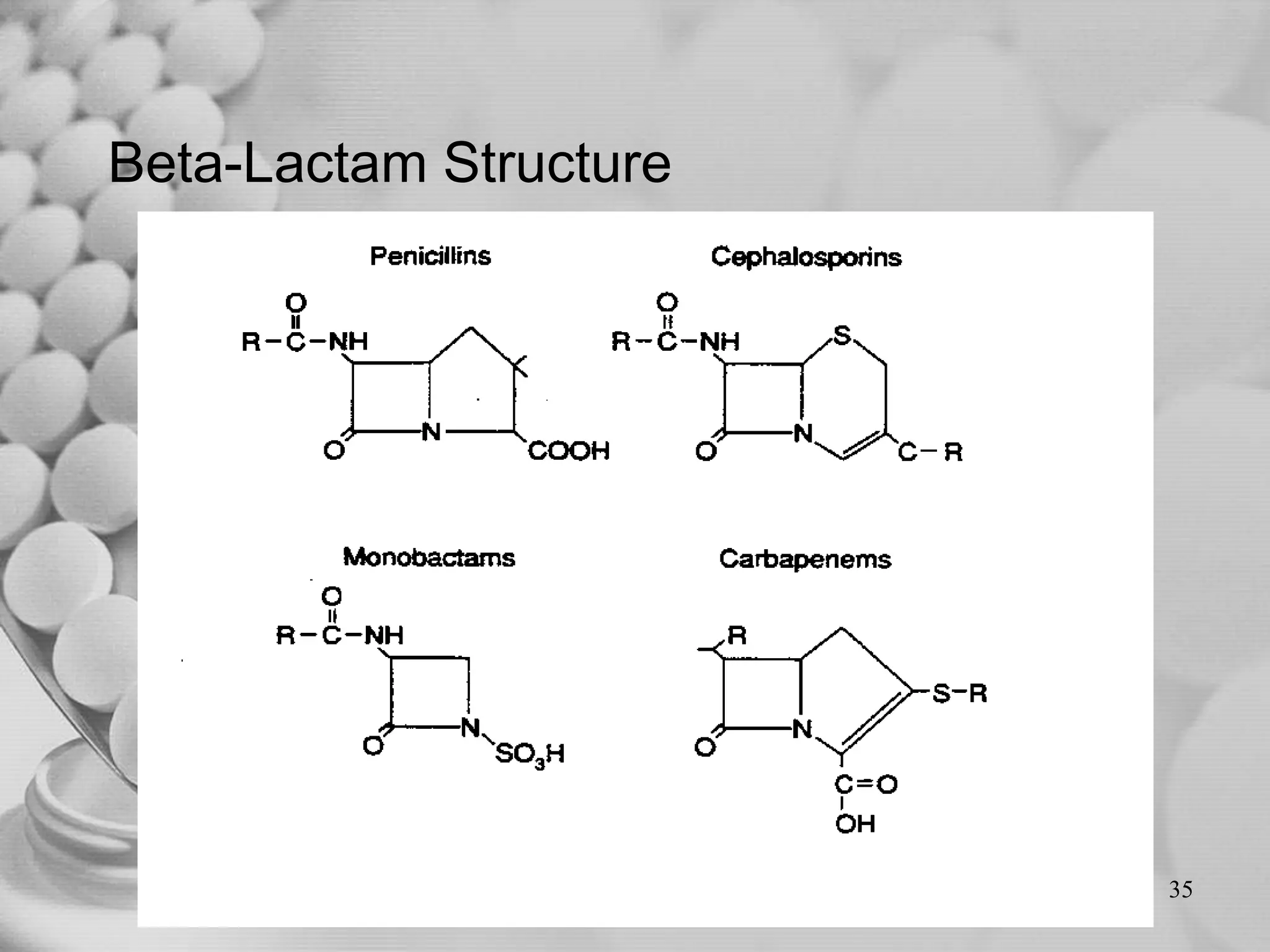 Beta lactam Antibiotics | PPTX
