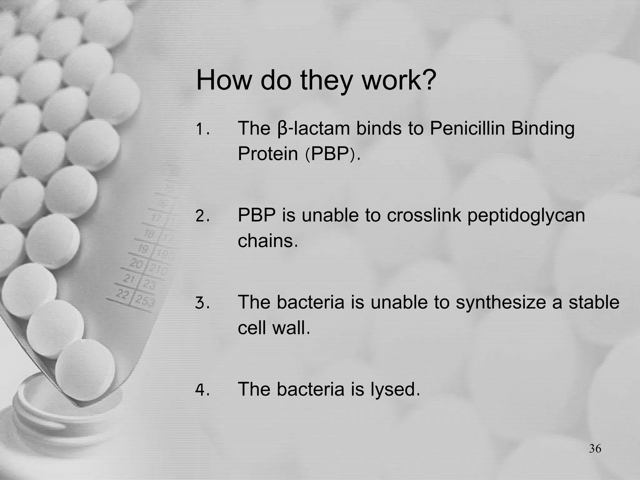 Beta lactam Antibiotics | PPTX