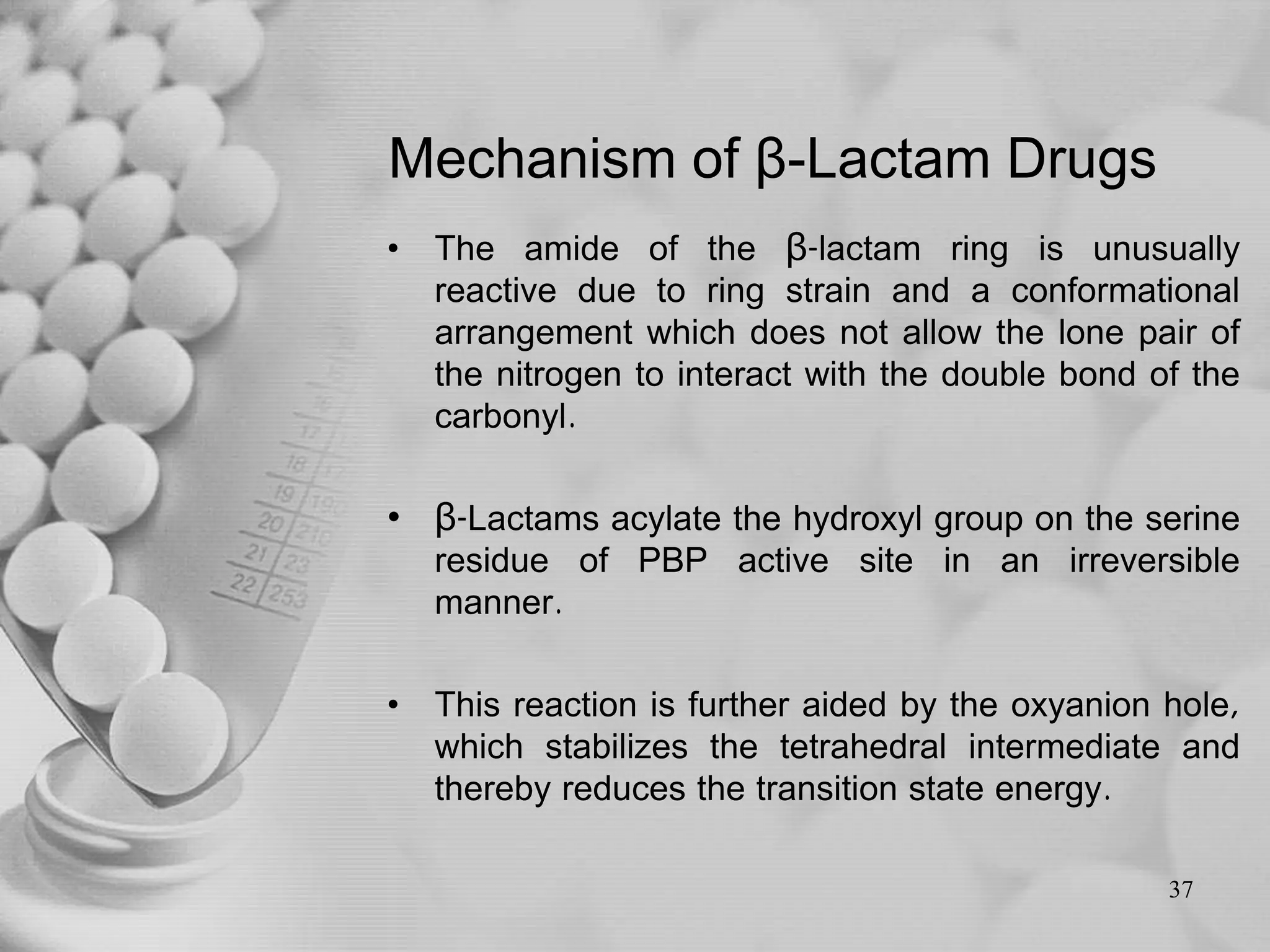 Beta lactam Antibiotics | PPTX