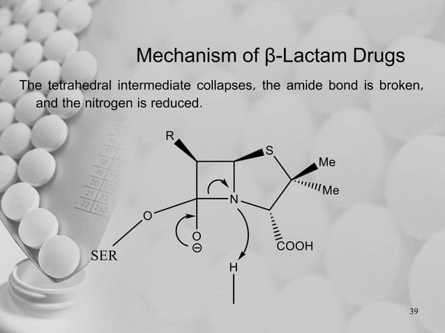 Beta lactam Antibiotics | PPT