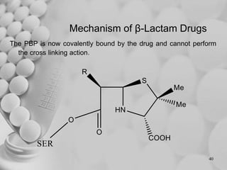 Beta lactam Antibiotics | PPTX