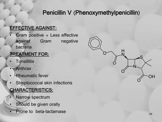 Beta lactam Antibiotics | PPTX