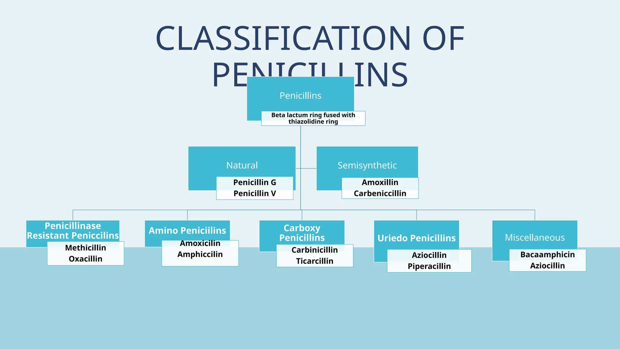PENICILLIN- A CLASS OF BETA LACTUM ANTIOBIOTICS | PPT