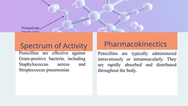 PENICILLIN- A CLASS OF BETA LACTUM ANTIOBIOTICS | PPT