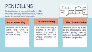 PENICILLIN- A CLASS OF BETA LACTUM ANTIOBIOTICS | PPTX