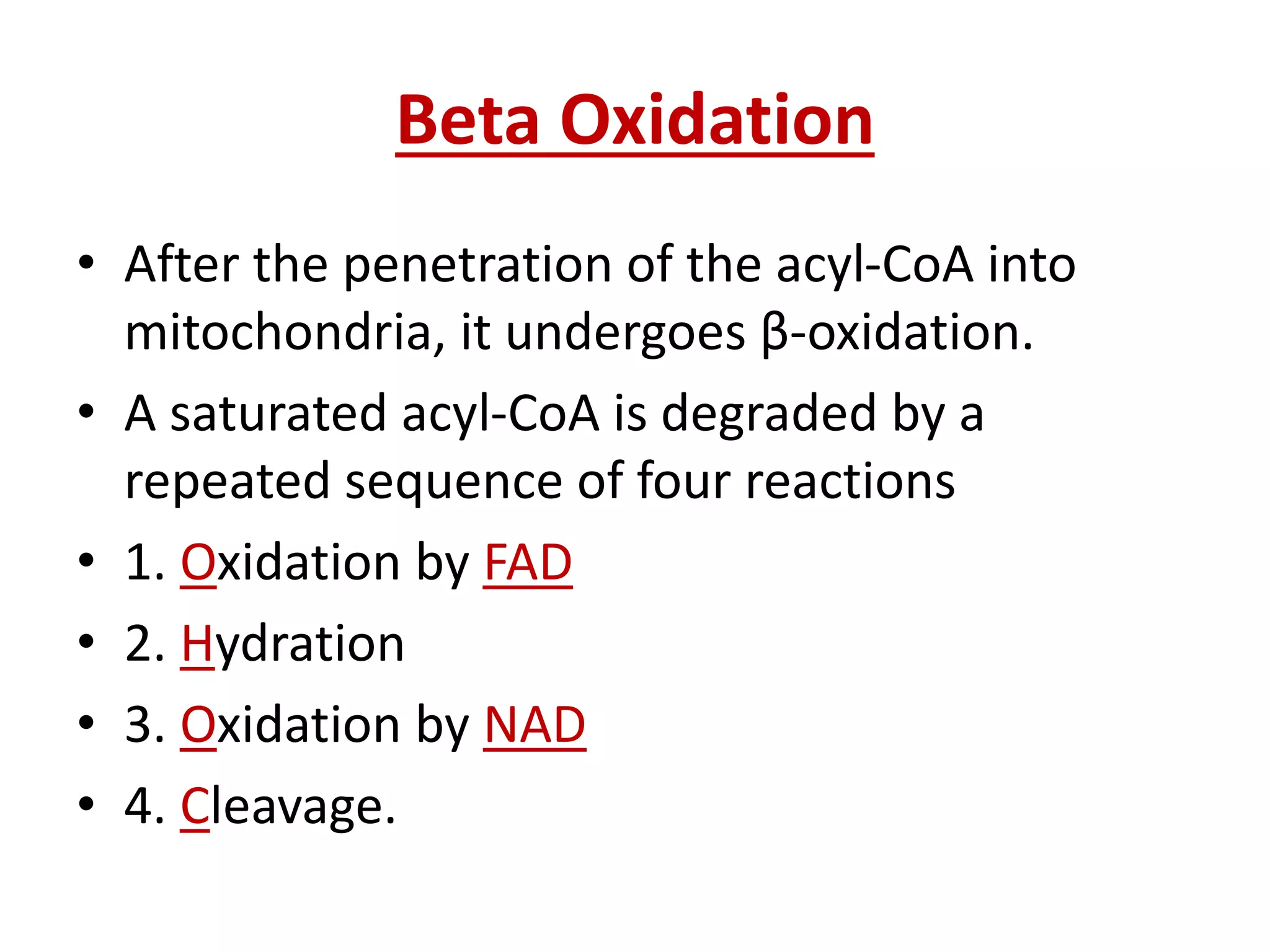 Beta Oxidation of Fatty Acids | PPTX
