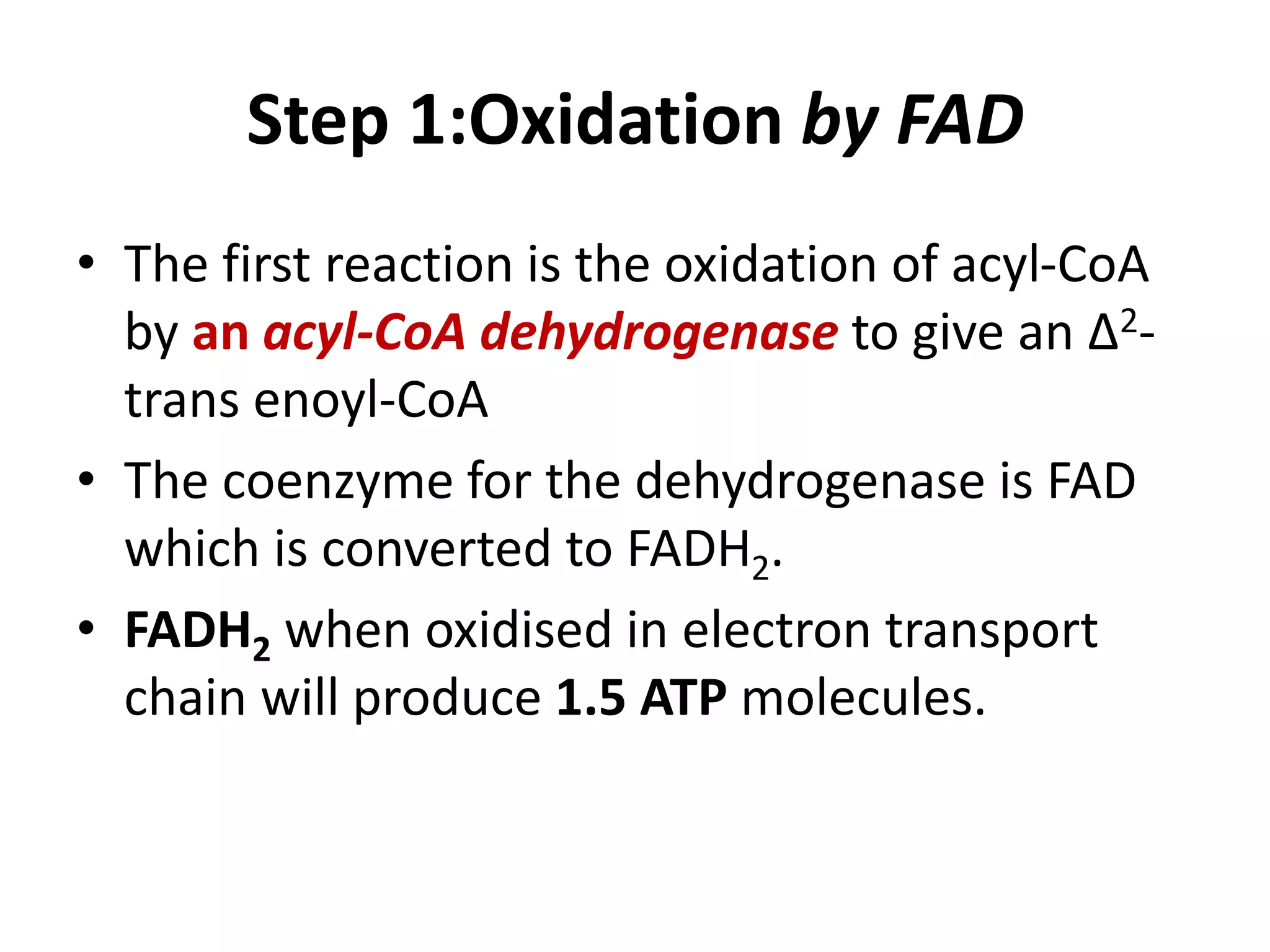 Beta Oxidation of Fatty Acids | PPTX