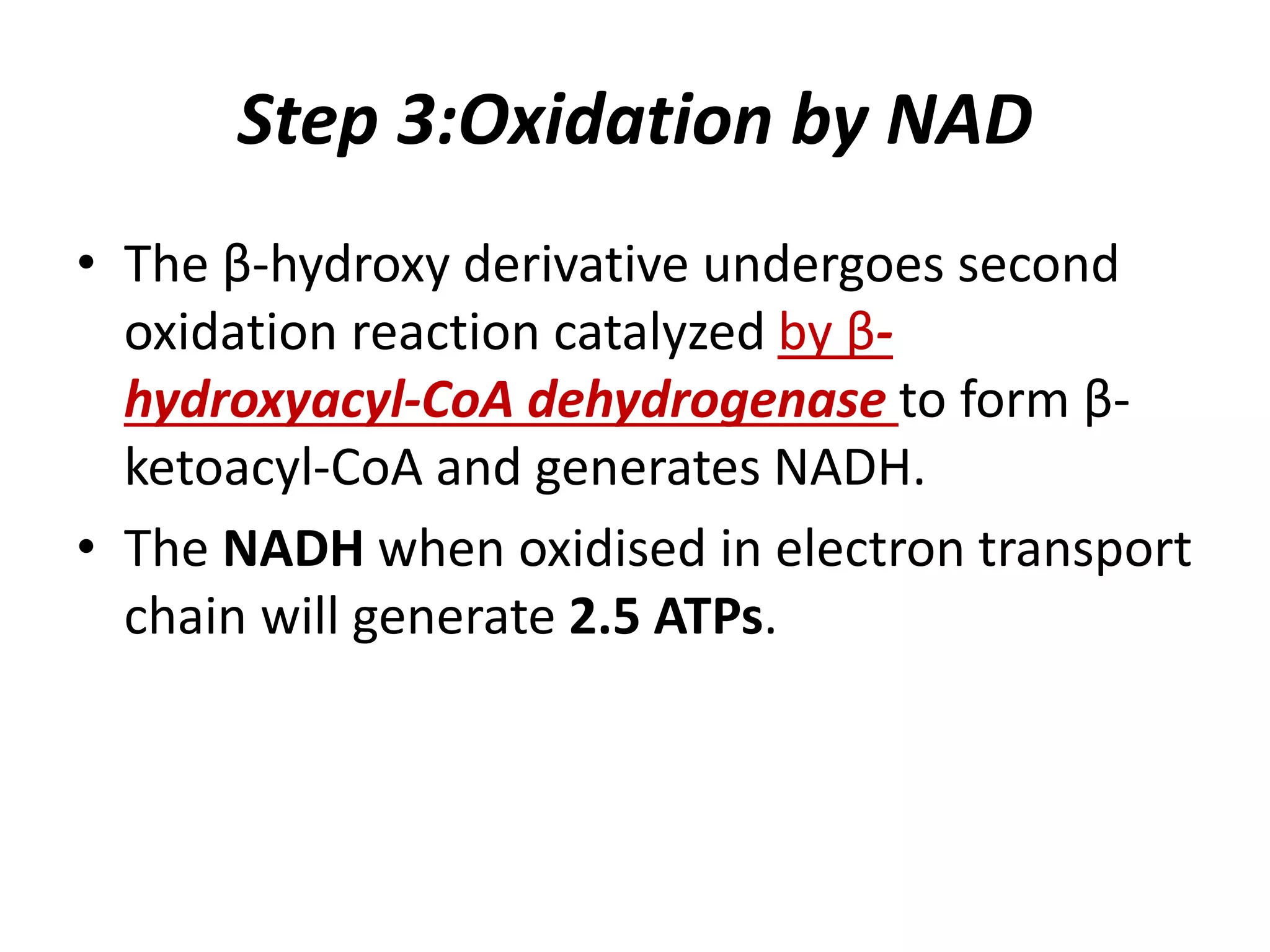 Beta Oxidation of Fatty Acids | PPTX