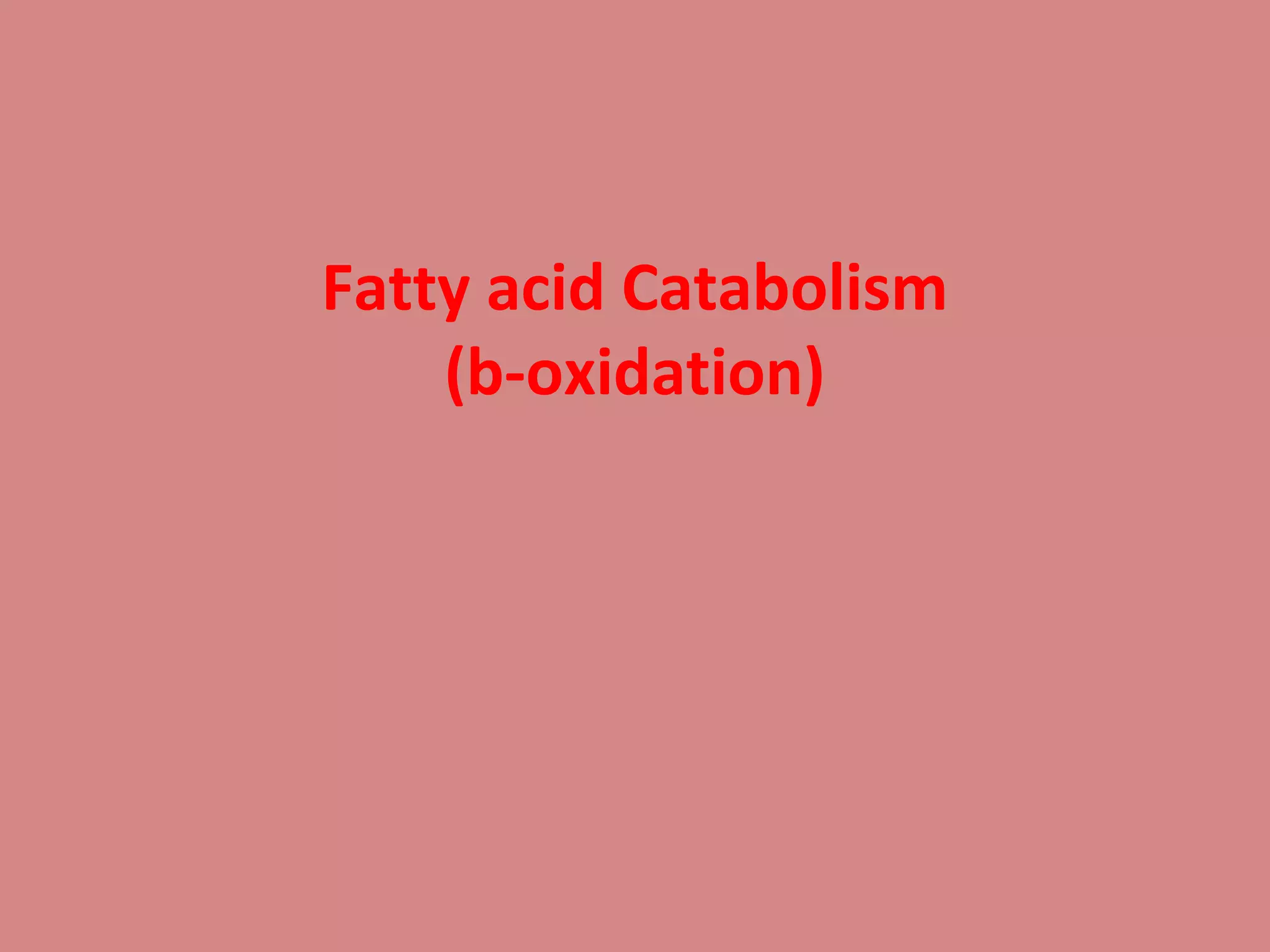 Beta oxidation | PPT