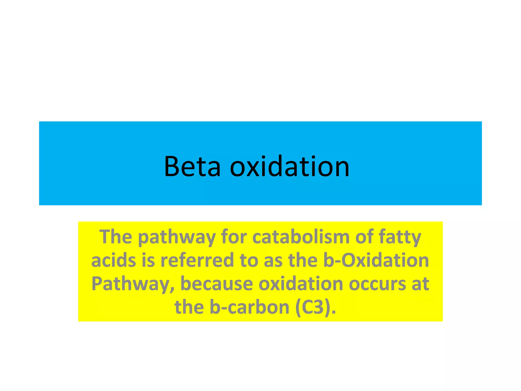 Beta oxidation | PPT | Endocrine and Metabolic Diseases | Diseases and ...