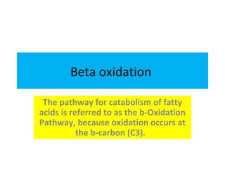 Beta oxidation | PPT