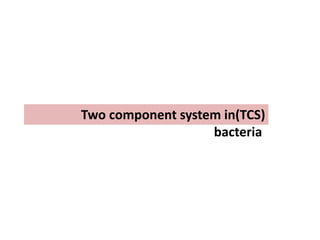 Beta oxidation and two component system | PPT