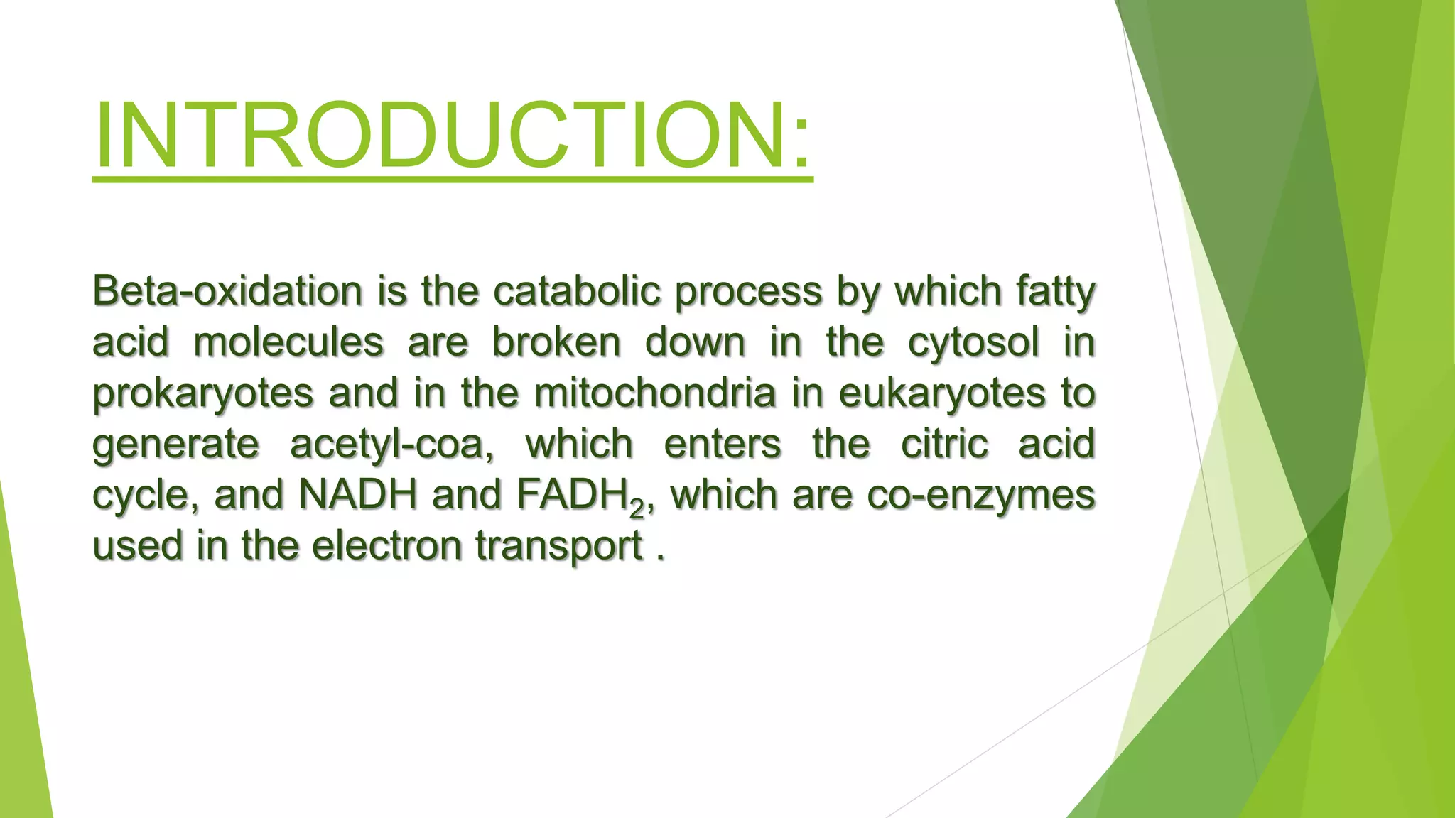 Beta oxidation | PPTX | Chemistry | Science