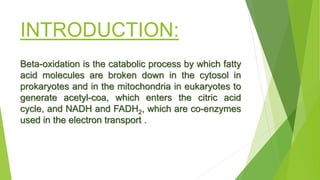 Beta oxidation | PPTX | Chemistry | Science