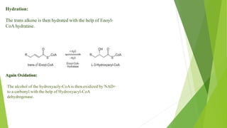Beta oxidation | PPTX
