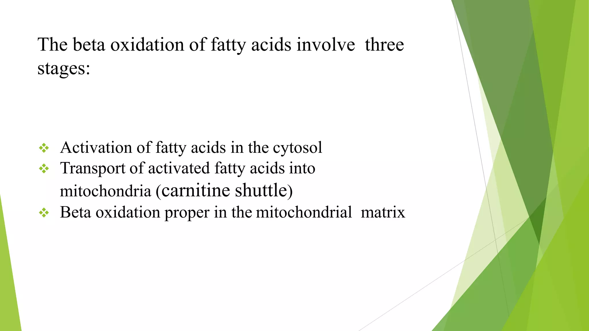 Beta oxidation OF Fatty Acids | PPTX