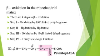 Beta oxidation OF Fatty Acids | PPTX