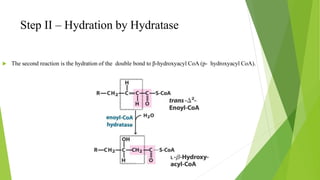 Beta oxidation OF Fatty Acids | PPTX