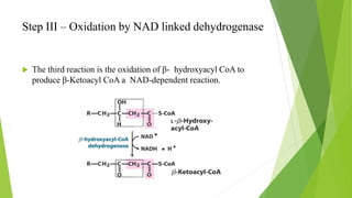 Beta oxidation OF Fatty Acids | PPTX