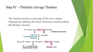 Beta oxidation OF Fatty Acids | PPTX