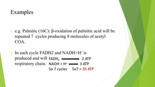 Beta oxidation OF Fatty Acids | PPTX