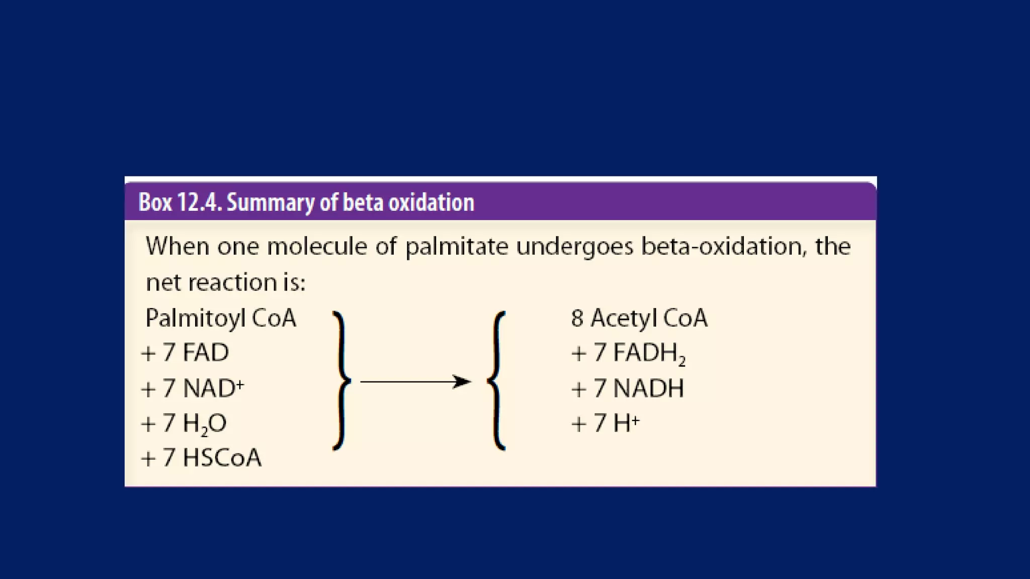 beta oxidation.pptx | Chemistry | Science