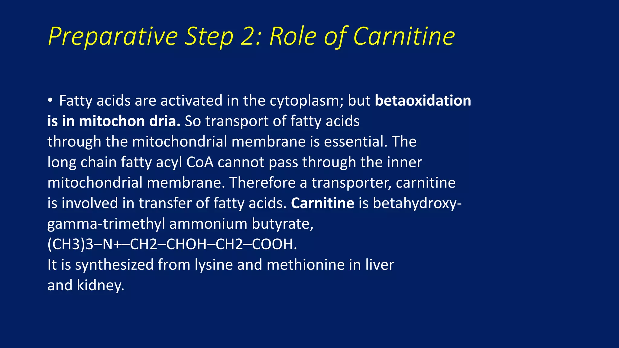 beta oxidation.pptx | Chemistry | Science