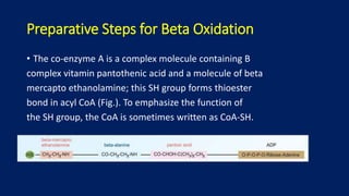 beta oxidation.pptx | Chemistry | Science