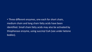 beta oxidation.pptx