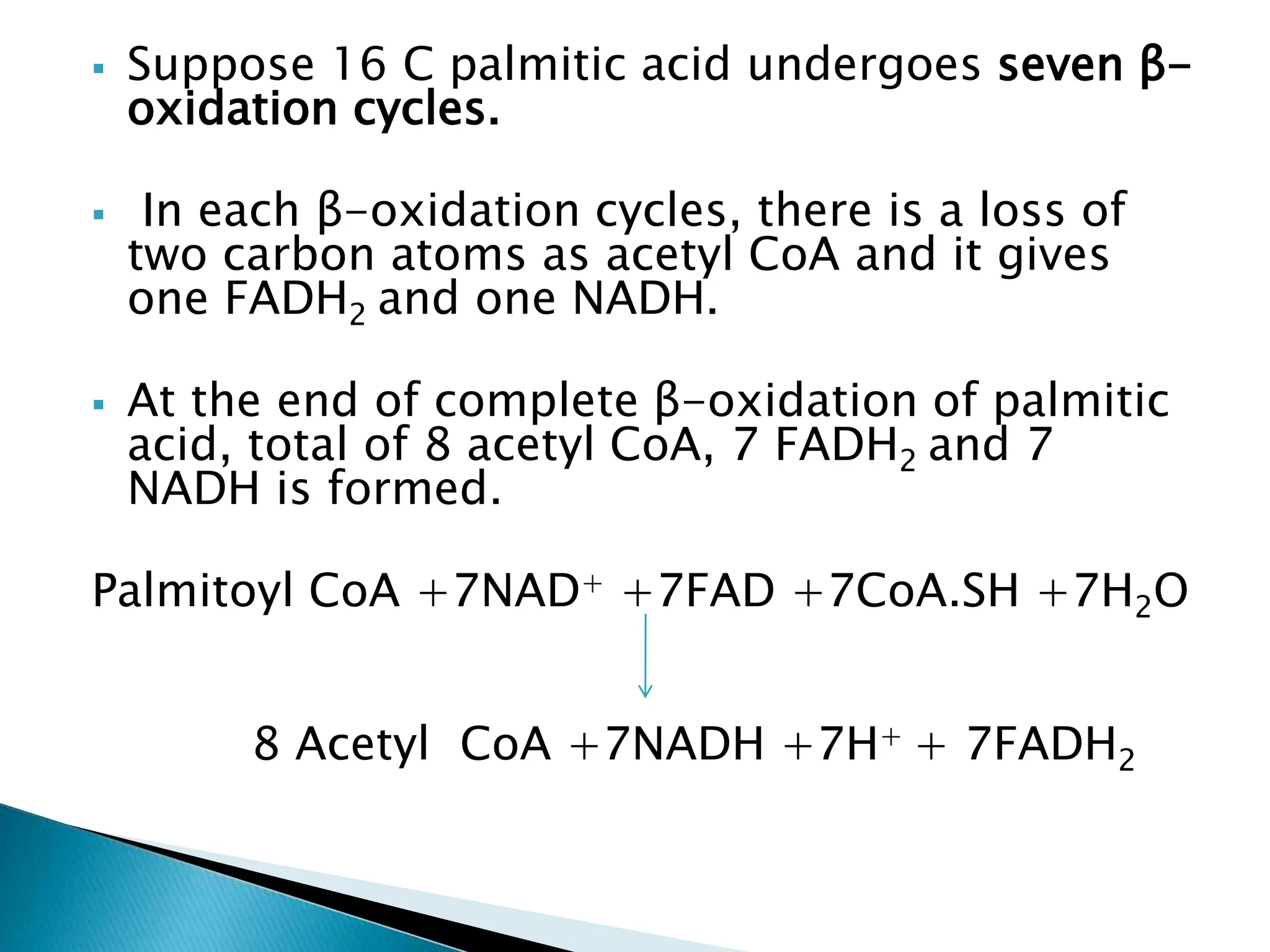 beta oxidation.pptx