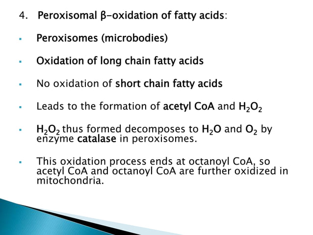 beta oxidation.pptx