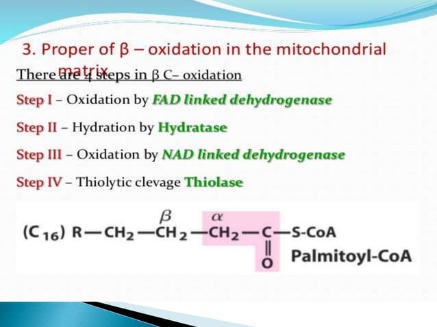 beta oxidation.pptx