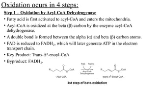 beta oxidation of fatty acids and its regulation.pptx