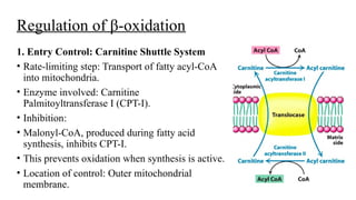 beta oxidation of fatty acids and its regulation.pptx