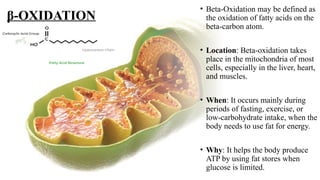 beta oxidation of fatty acids and its regulation.pptx