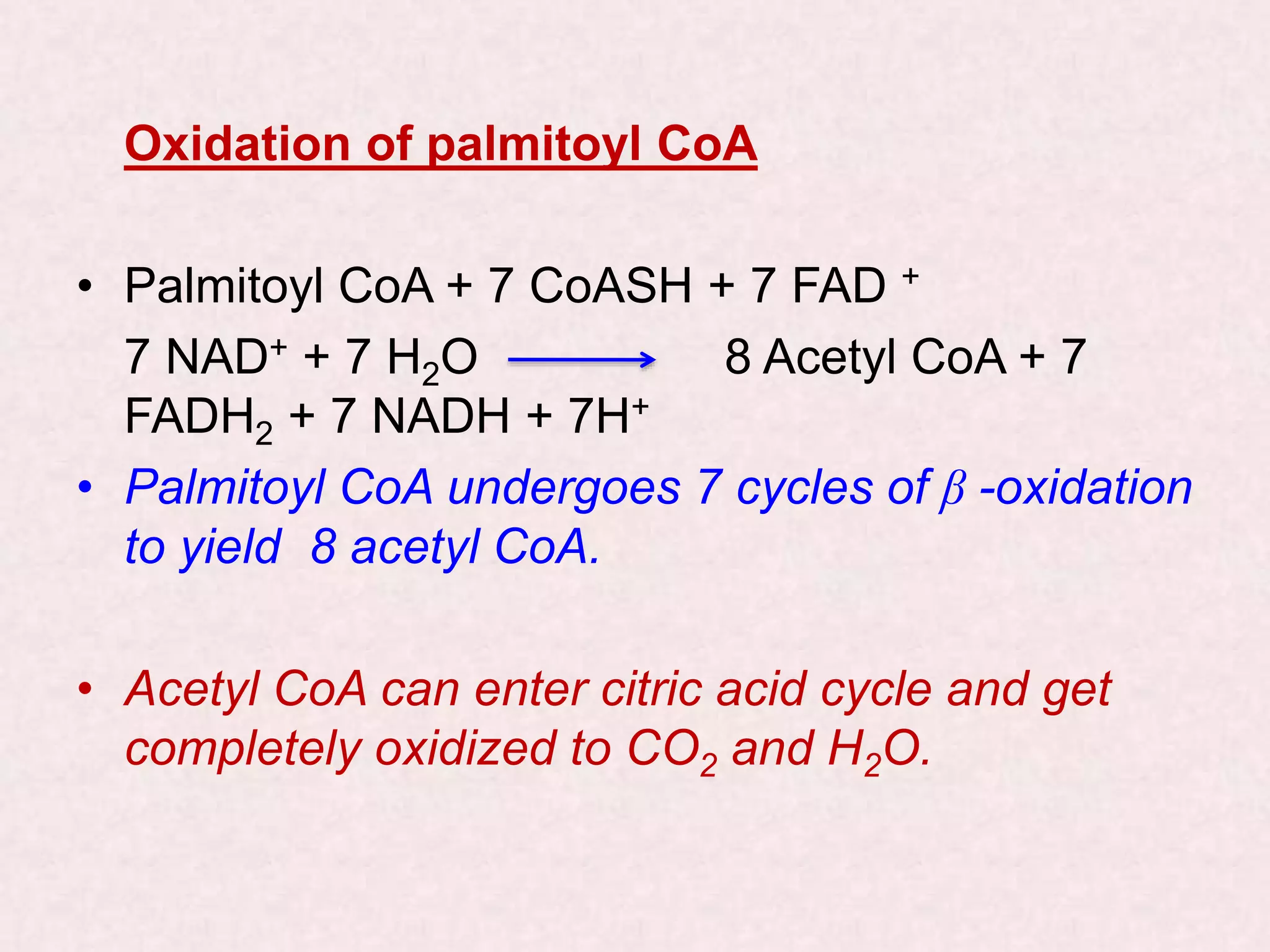 Beta oxidation210621.pptx