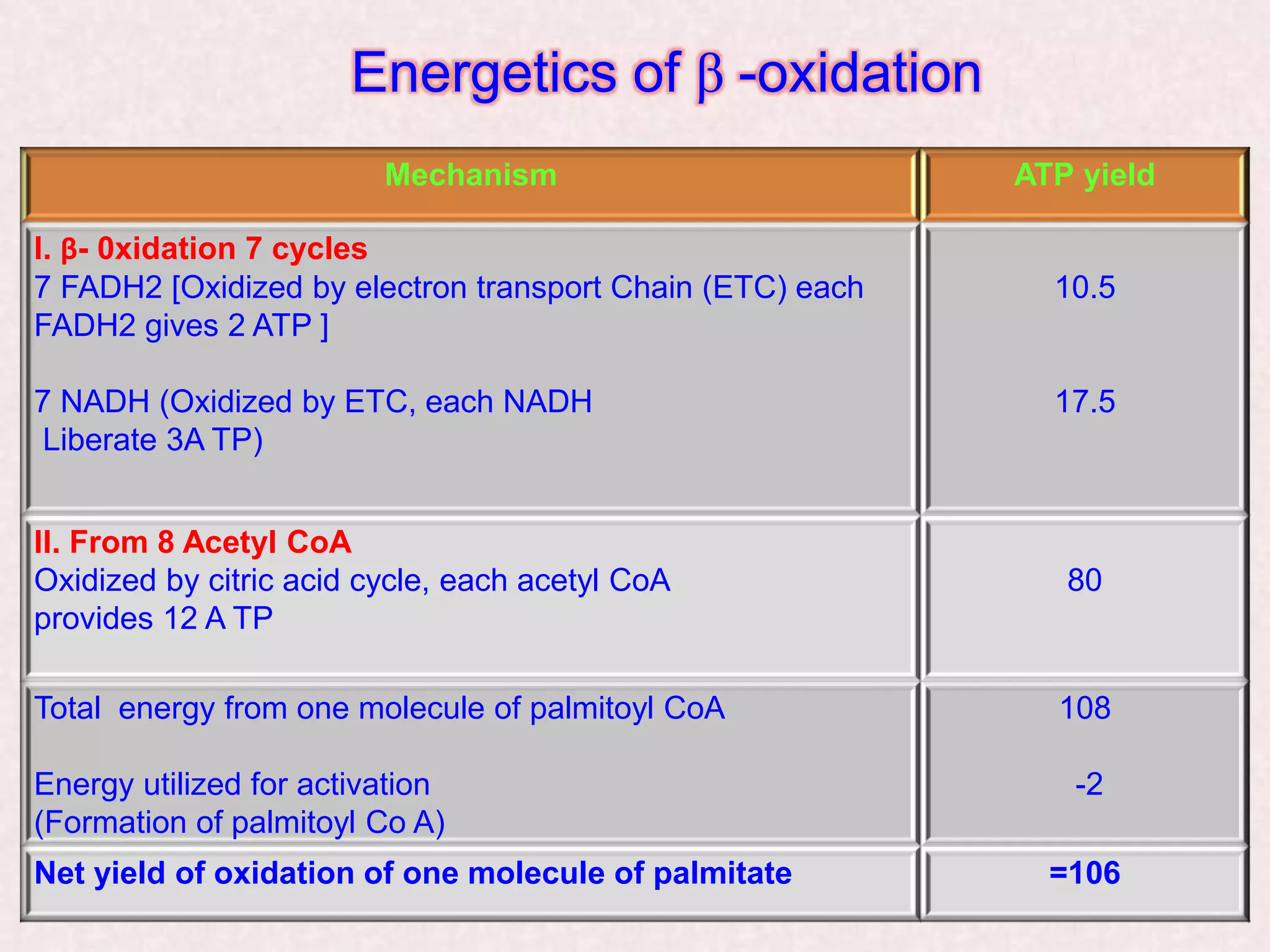 Beta oxidation210621.pptx