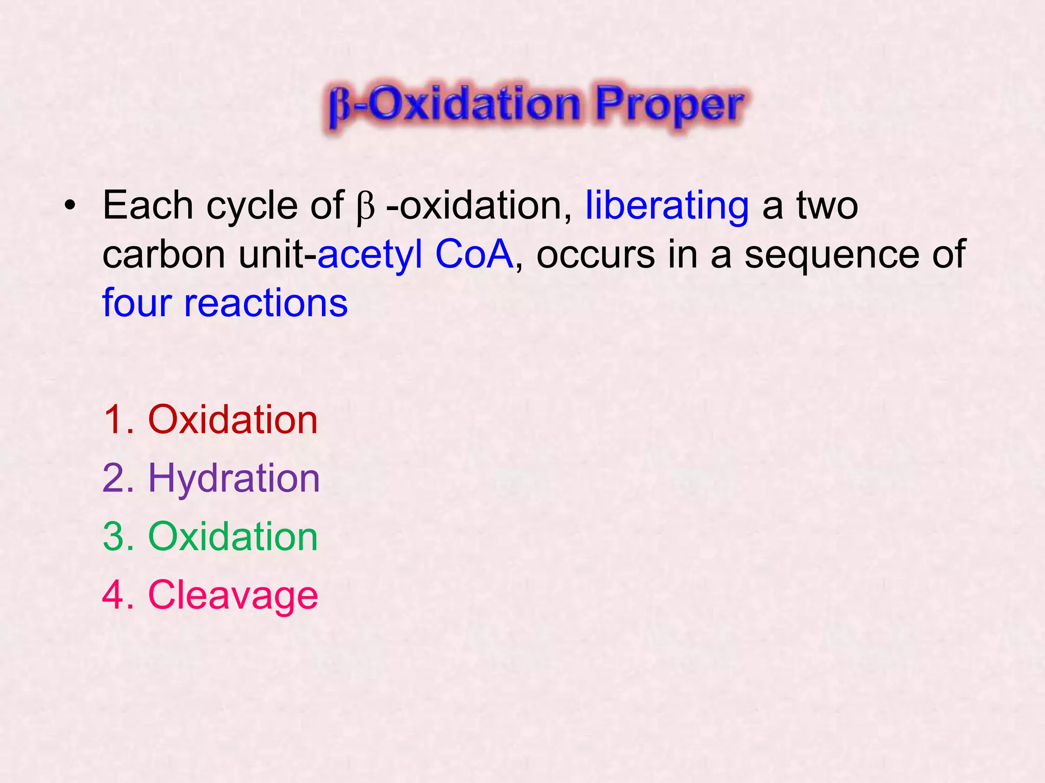 Beta oxidation210621.pptx