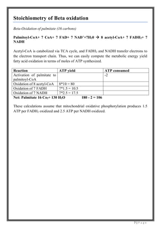 Beta oxidation of saturated fatty acid | PDF