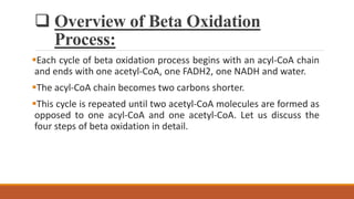 Beta oxidation and its bioenergetics. | PPTX