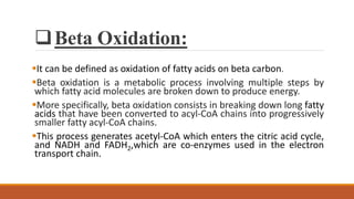 Beta oxidation and its bioenergetics. | PPTX