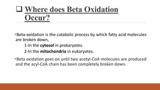 Beta oxidation and its bioenergetics. | PPTX