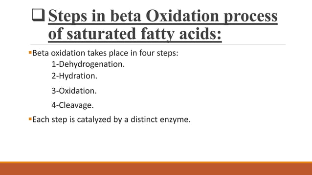 Beta oxidation and its bioenergetics. | PPTX | Chemistry | Science