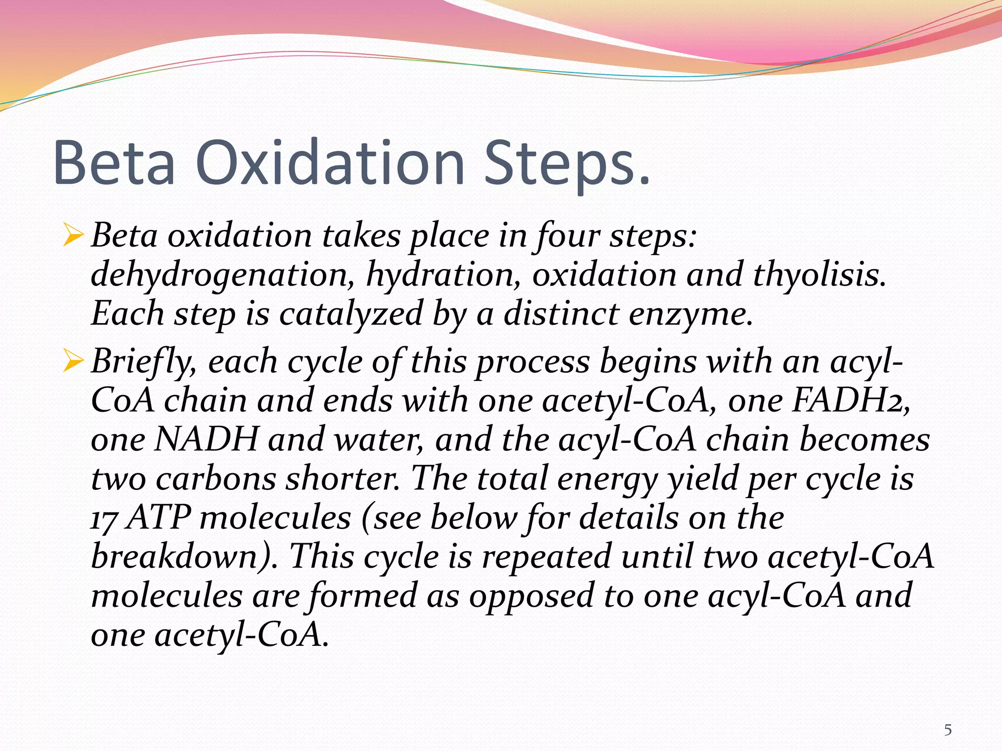 Beta Oxidation By Ali Afzal.pptx