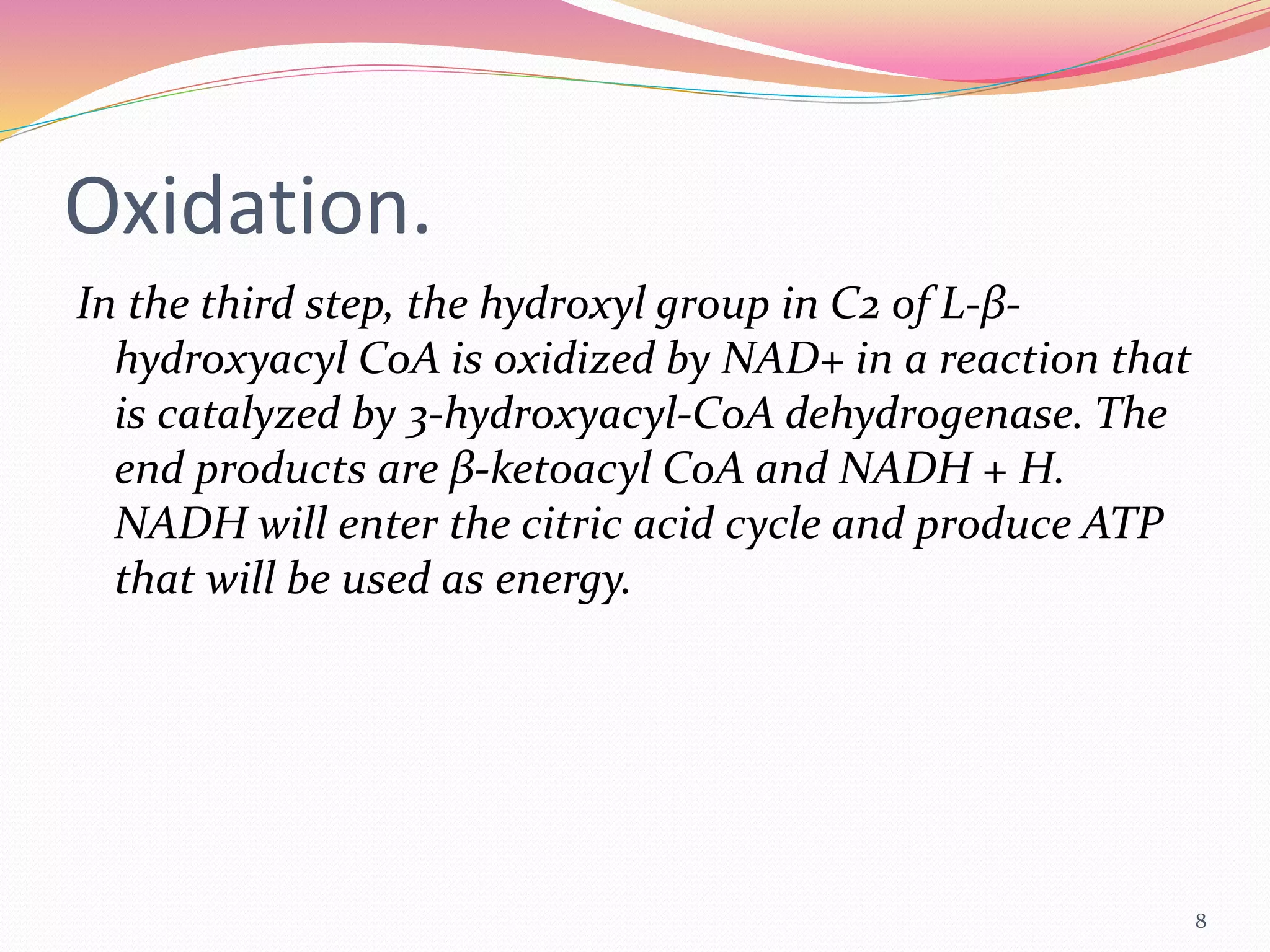 Beta Oxidation By Ali Afzal.pptx